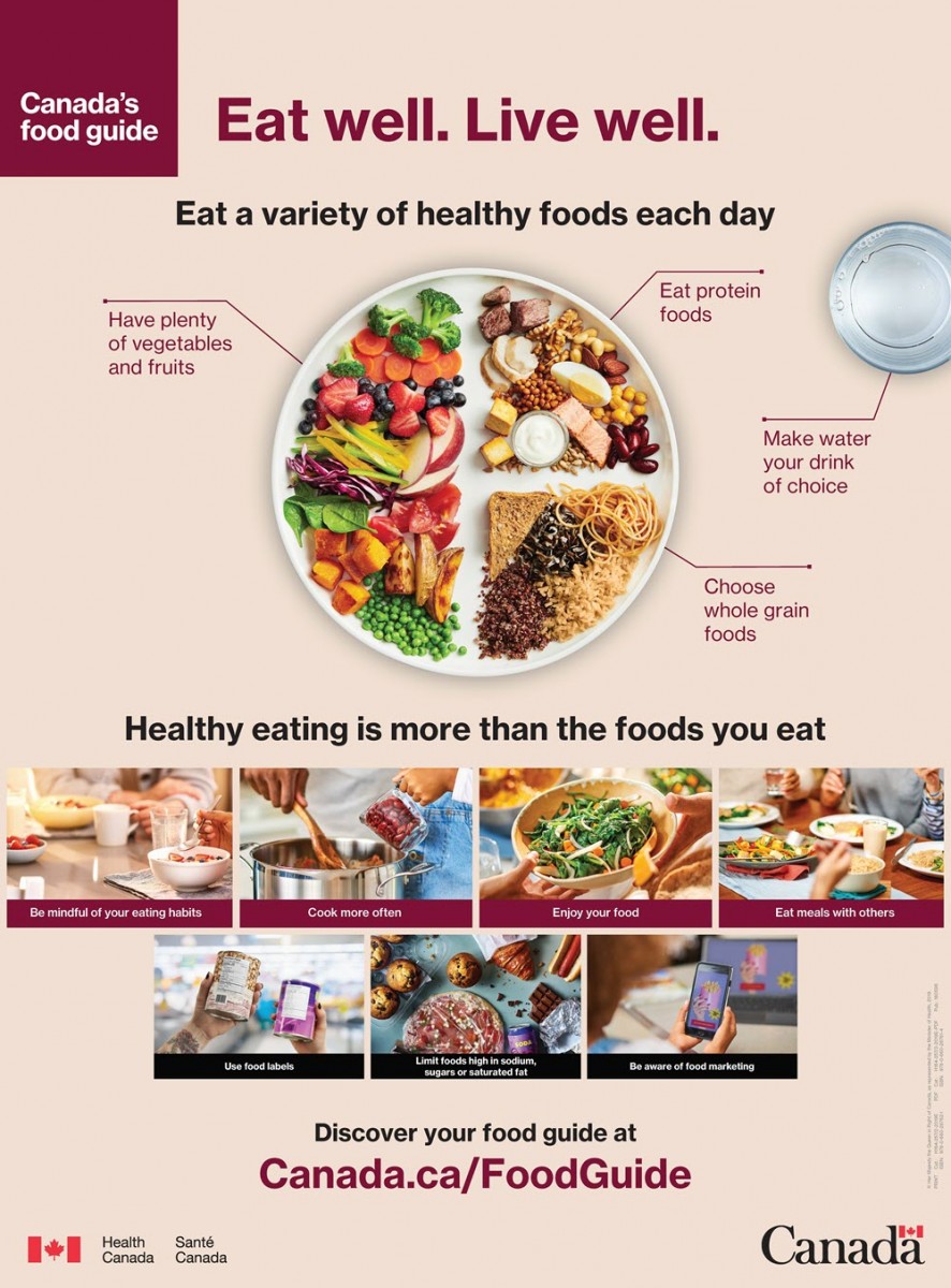 Canada S Food Guide Daily Health & Hygiene Skills: Canada's Food Guide